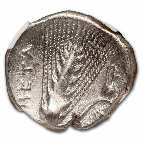 Lucania, Metapontum AR Stater (340-330 BC) VF NGC