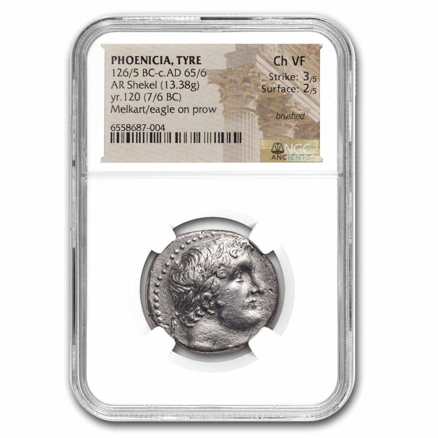Buy Phoenicia Tyre AR Shekel (7/6 BC) Ch VF NGC (Christ Lifetime) | APMEX