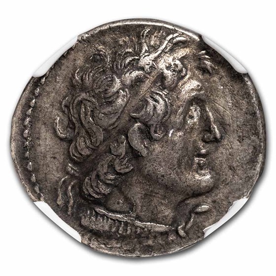 Buy Ptolemaic Kingdom Ptolemy VI AR Didrachm (180-145 BC) Ch XF NGC | APMEX