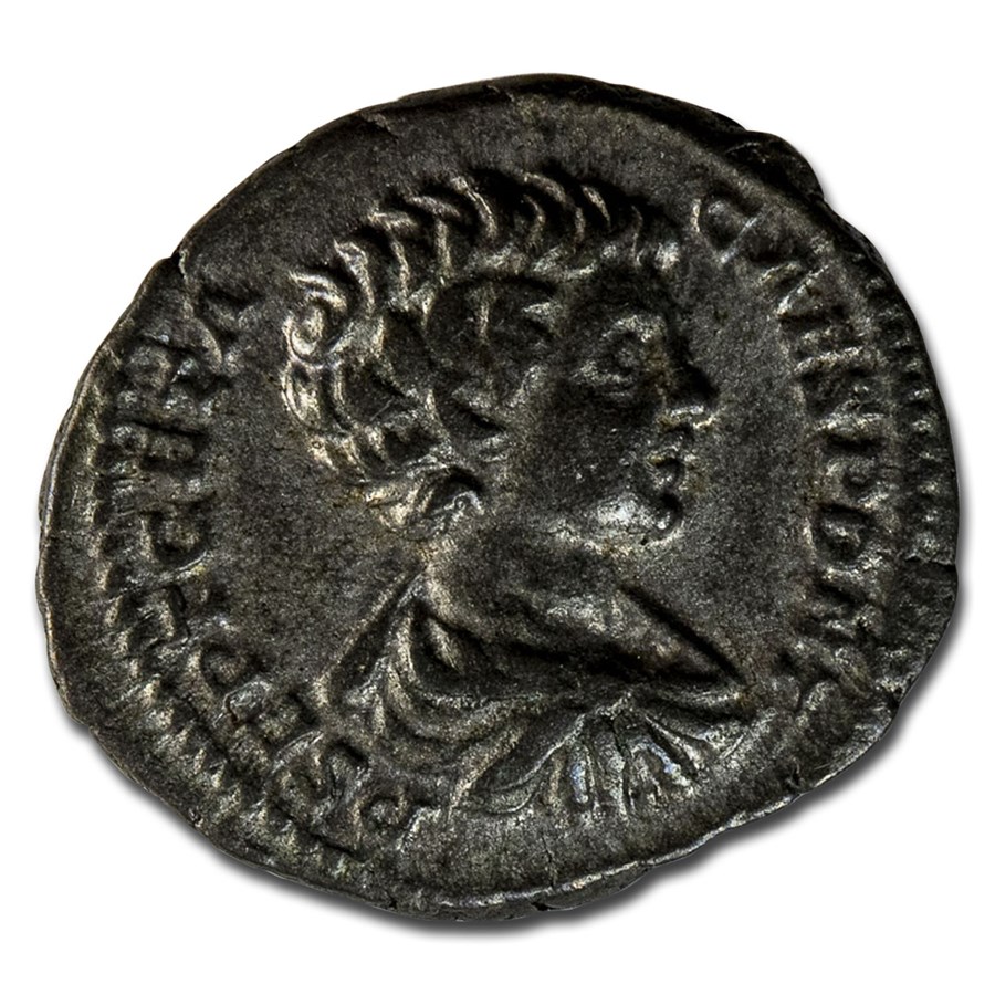 Buy Roman Empire AR Denarius Geta 200-205 AD VF (RIC IV 18) | APMEX