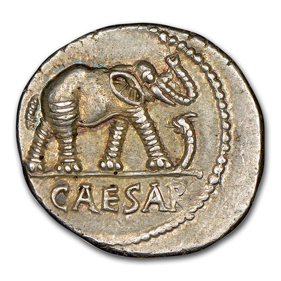 Buy Roman Silver Denarius Julius Caesar Elephant (d 44 BC) CH AU NGC ...