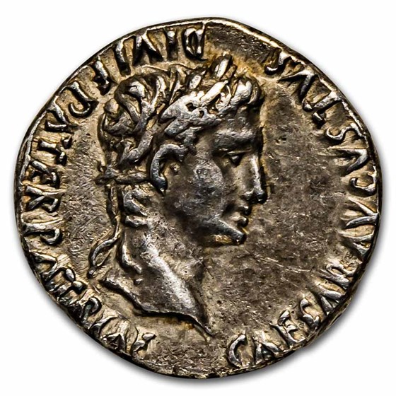 Buy The Twelve Caesars 12-Coin Silver Denarius Set | APMEX